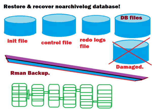 How to restore and recover noarchivelog database